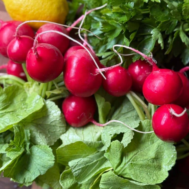 Radish Top Pesto • Pesto & Potatoes